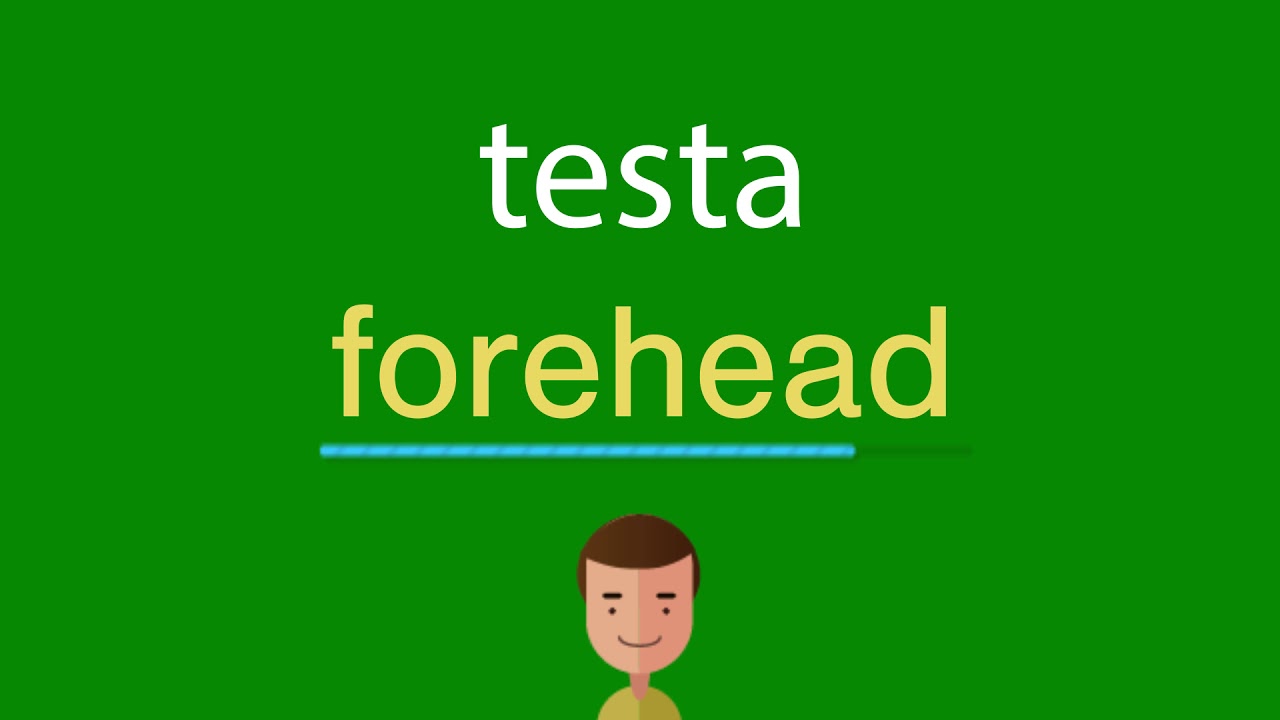 Como dizer testa em inglês - YouTube