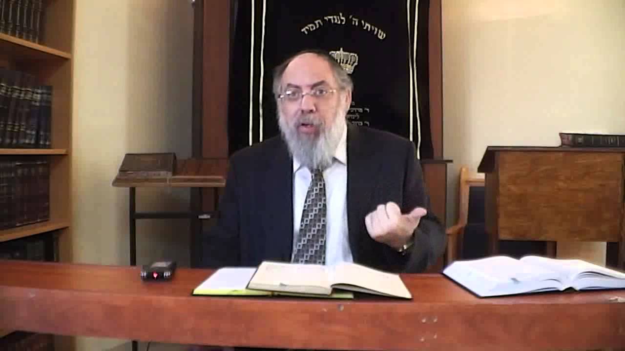 Rabbi Yaacov Haber, Shlit'a, The Rest and the Servitude 2-5-2014 - YouTube