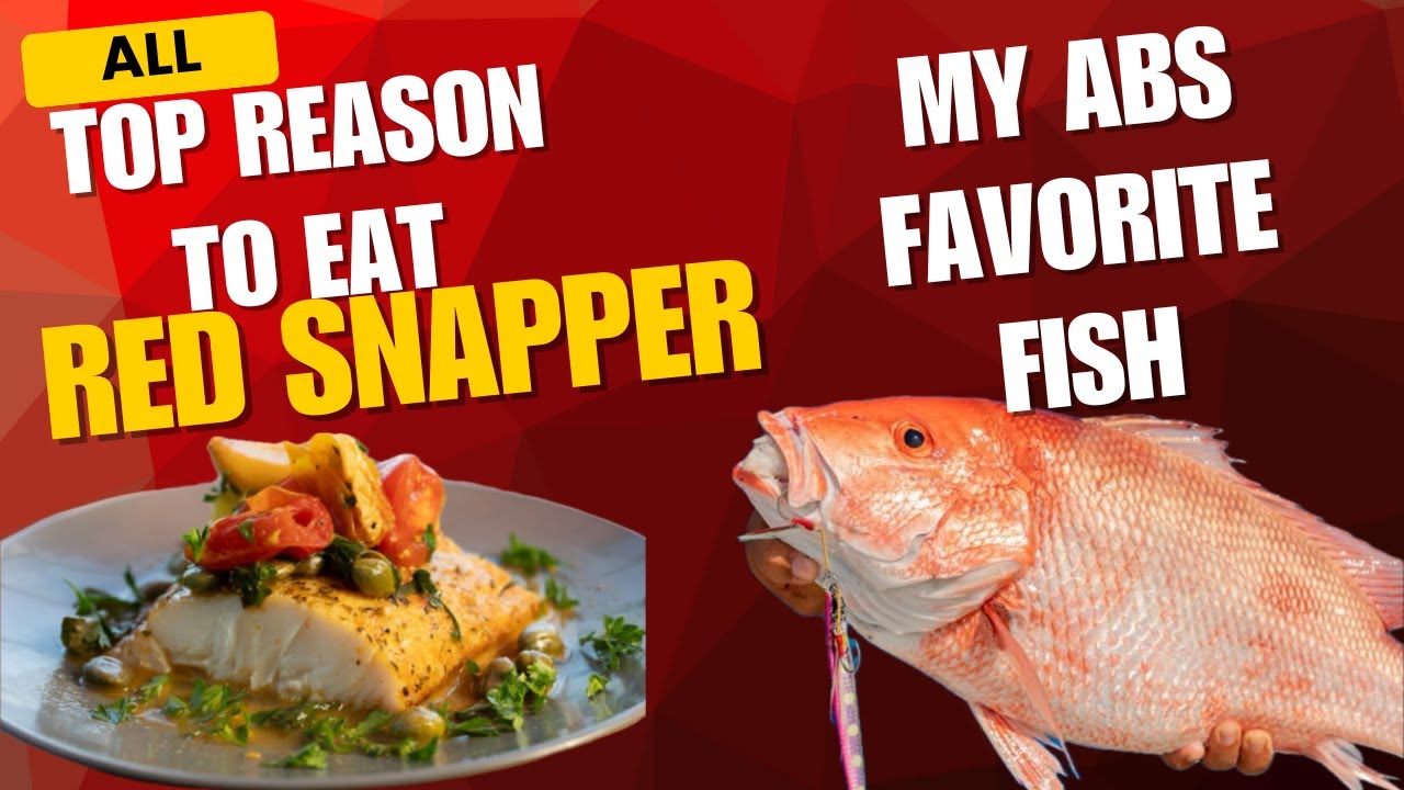 HOW RED SNAPPER IS THE NEW GO TO FOR WEIGHT LOSE BUILDING MUSCLE ...