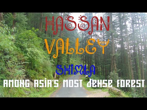 Best Aerial views of Shimla Hassan Valley jungle ride I Shimla Reserve ...