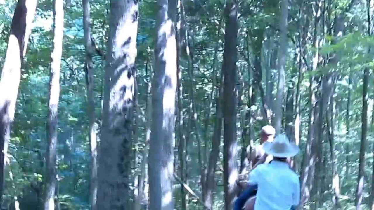 Fort Harrison Horseback Riding Cowboy Day - 07/12/12 - YouTube