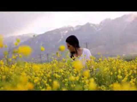 Deniz Deman- Welat Serine... yeni klip*