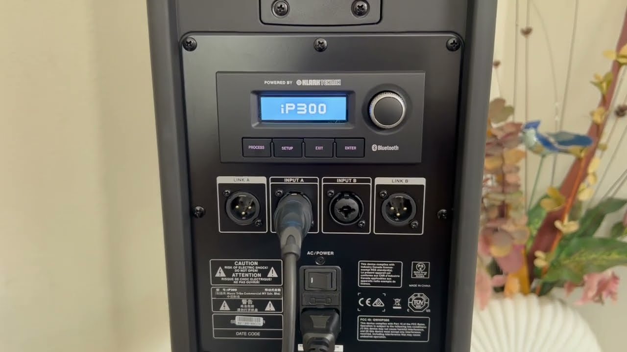 Initial Review/Unboxing TurboSound iP300 HANDS DOWN the BEST Column ...