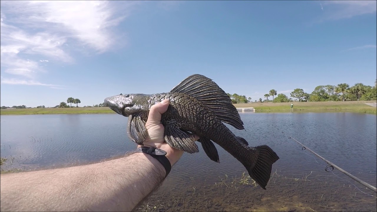 Shout out to Fishin N Stuff and Pappy's Keepers , Robbie's huge ...
