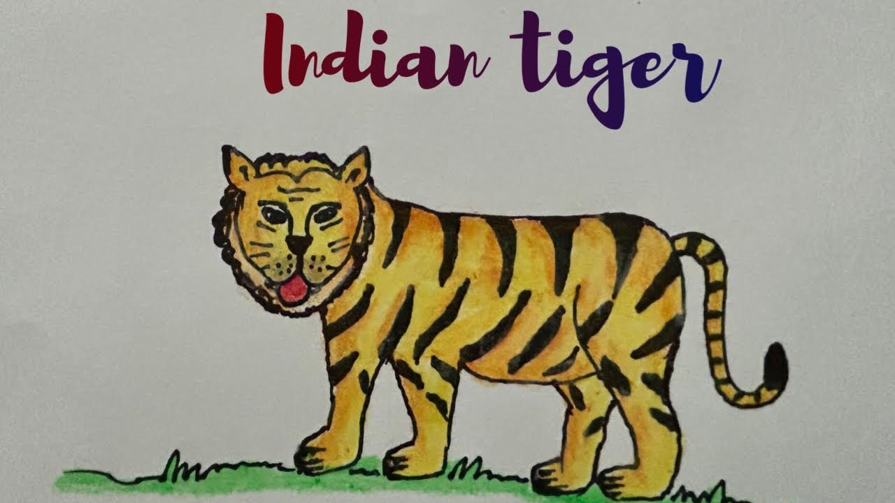 How to Draw Indian National Animal | @SanJyoChannel #tiger # ...