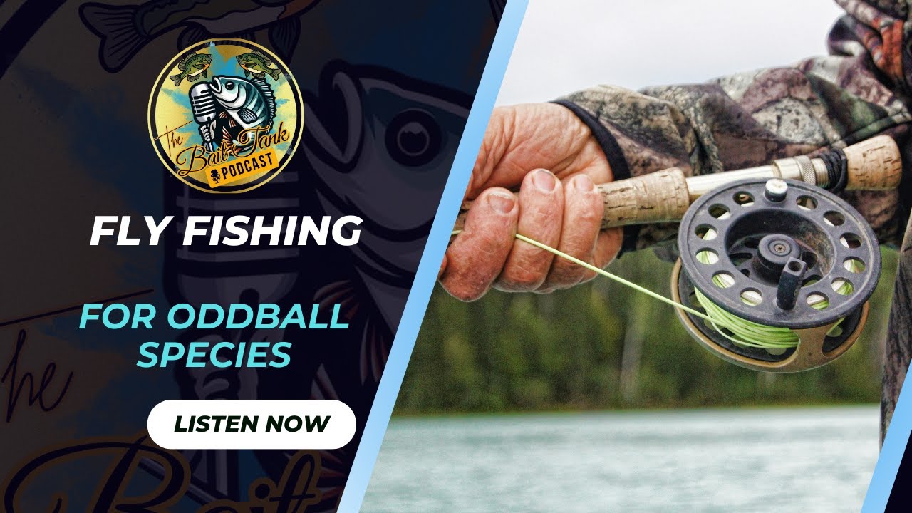 The Art of Fly Fishing: Exploring Unique Native Fish Species - YouTube