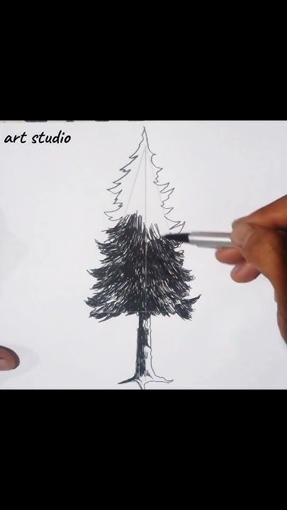 how to draw pine trees - YouTube