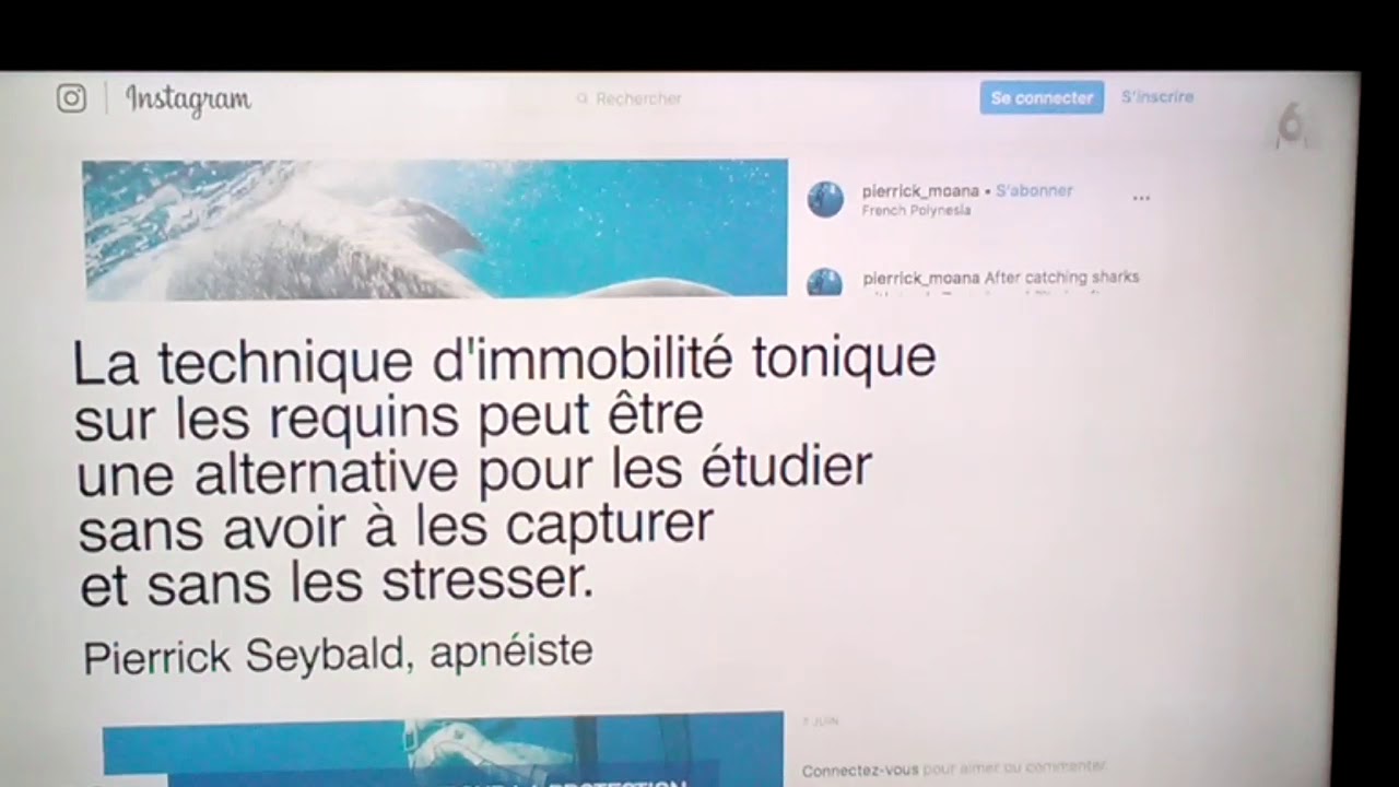 HYPNOSIS OF SHARK / HYPNOSE DE REQUINS - YouTube
