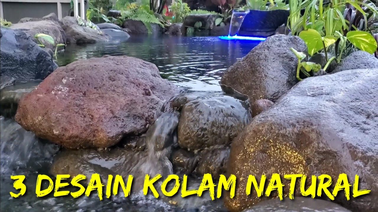 3 desain kolam natural dan ukuranya - YouTube