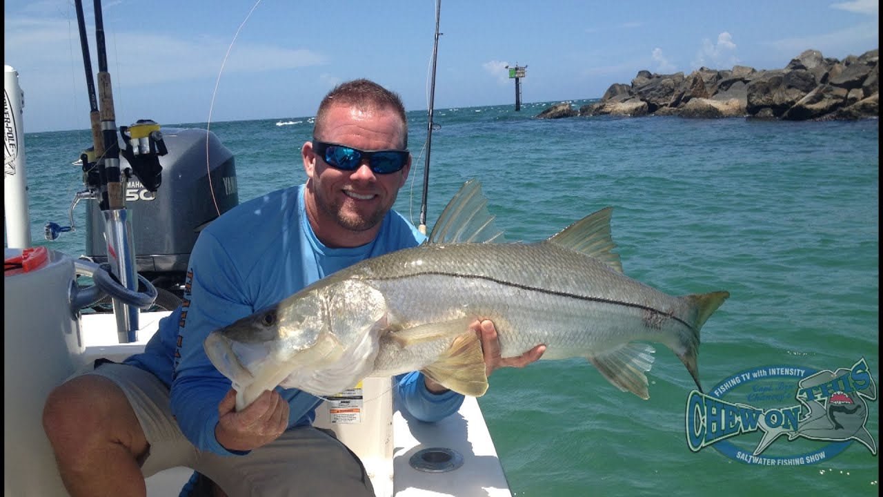 Hawg Snook! Chew On This Fishing Charters - YouTube