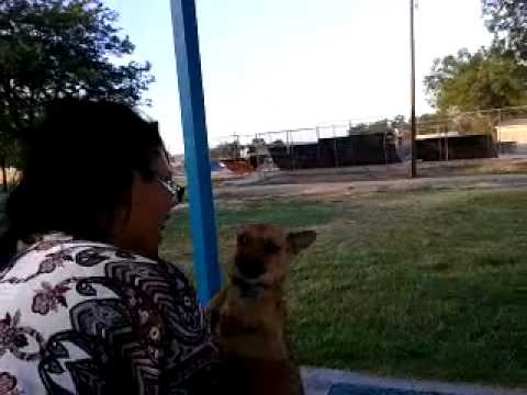 Fat girl fart