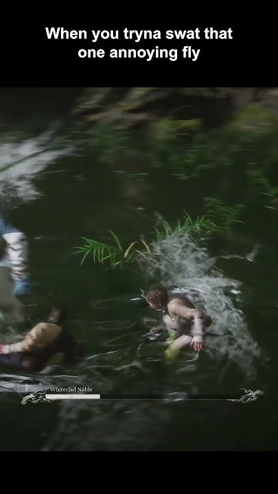 When you're trying to swat that one annoying fly - YouTube