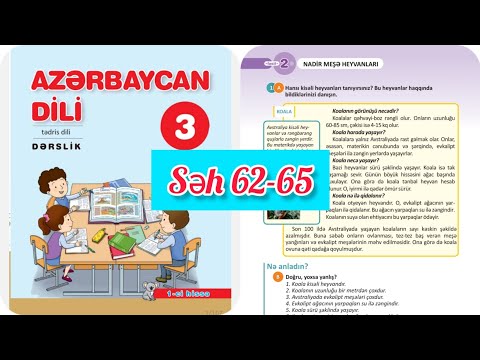 3-cü sinif Azərbaycan dili dərslik səh 62,63,64,65. 1ci hissə.Koala.Oxlu kirpi. Söz birləşməsi,cümlə