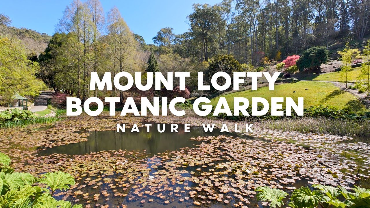 Mount Lofty Botanic Garden | Nature Walk | South Australia | FPV | 4K - YouTube