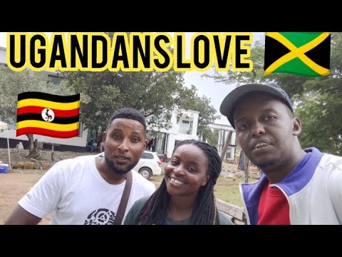 this Ugandans friends love Jamaica and things to do in Uganda 🇯🇲🇺🇬 ...