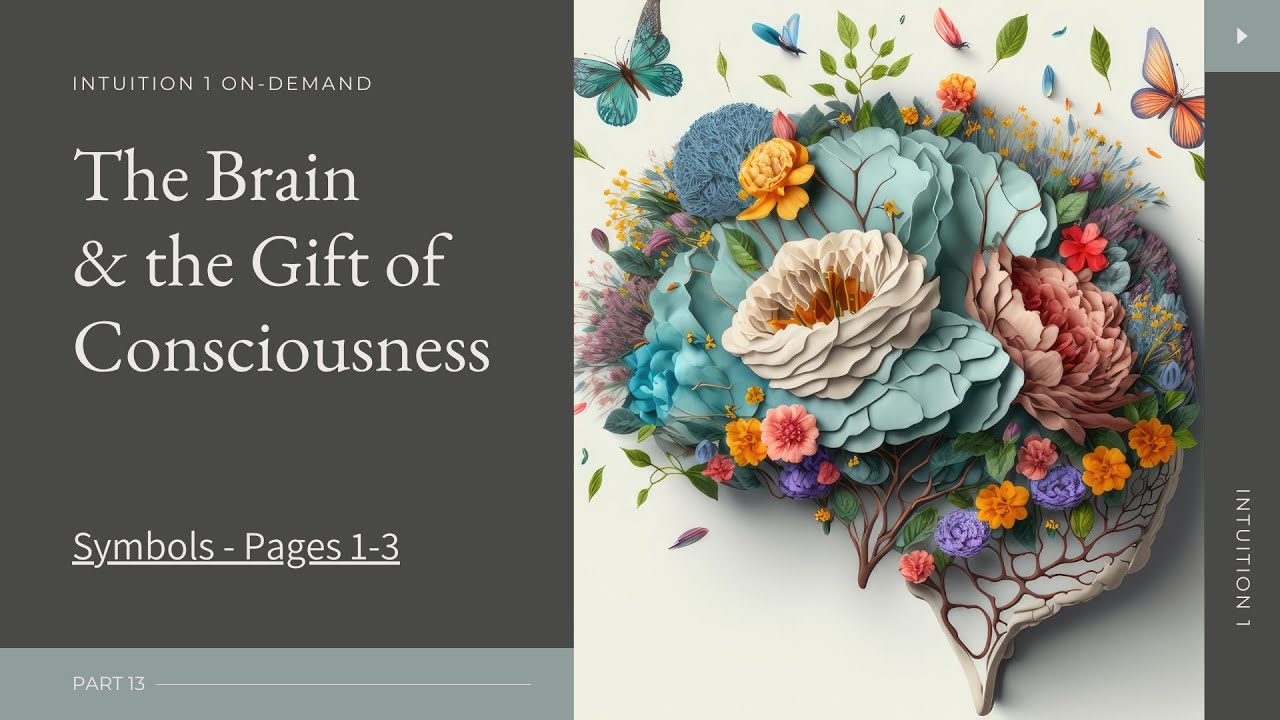 🌟 Intuition 1, Part 13: Symbols Library 🌟 - YouTube