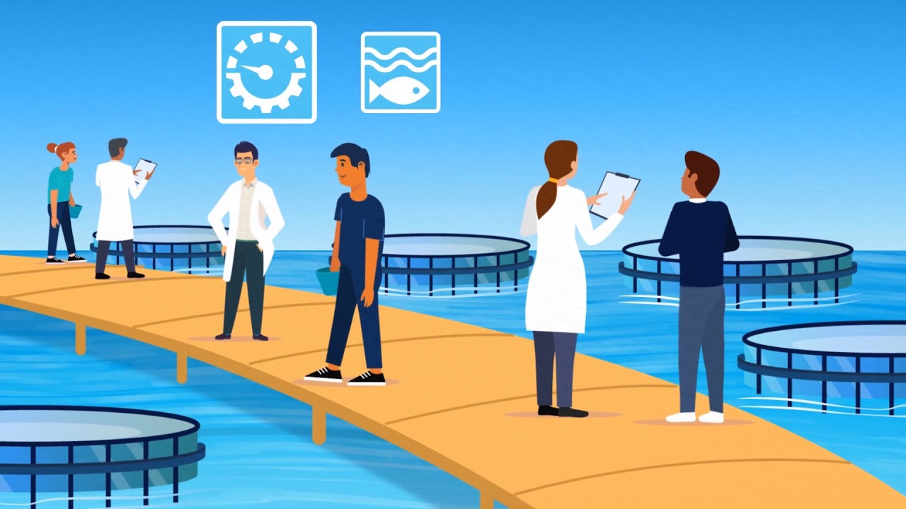PerformFISH Project Video - YouTube