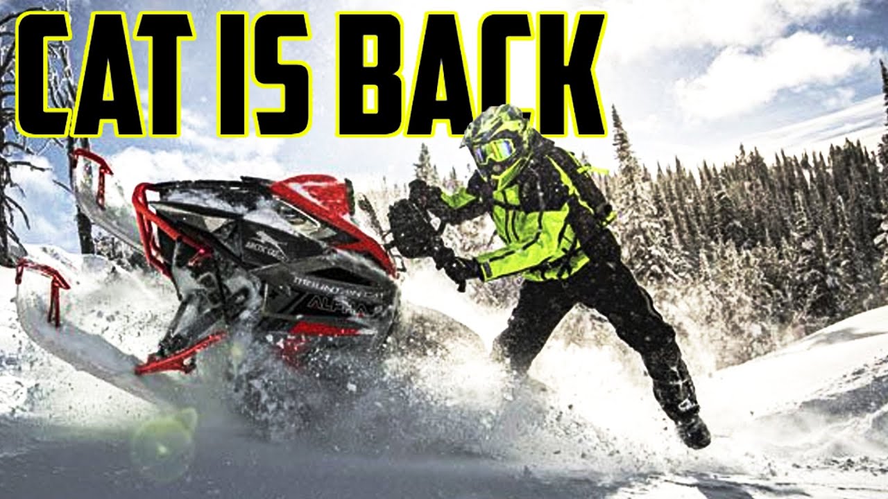 ARCTIC CAT IS BACK FOR 2021!!! - YouTube