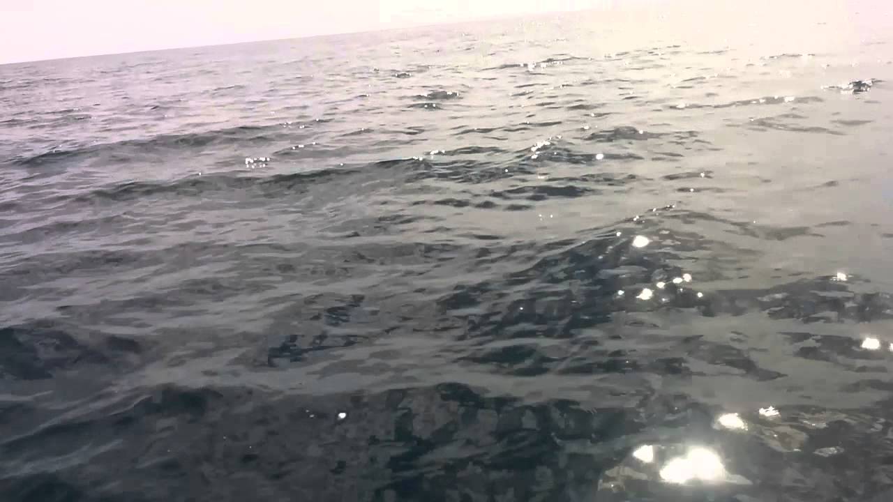 Pesca de barrilete con Ranger Lure (Robert Lure) - YouTube