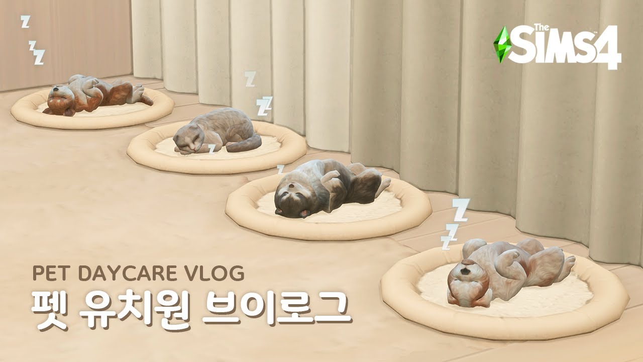 4 Pet Daycare Vlog Sims 4 YouTube 4-pet-daycare-vlog-sims-4-youtube