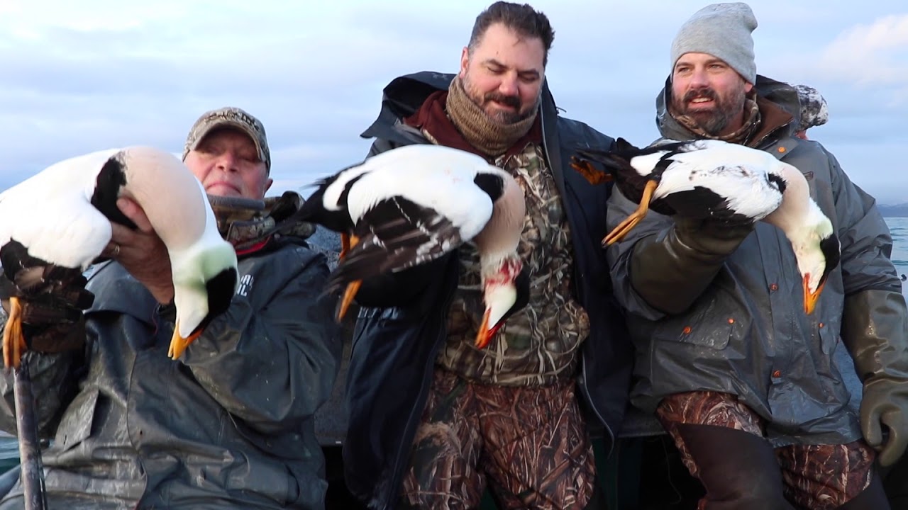Alaska Sea Duck Hunting with UWC Adventures - YouTube