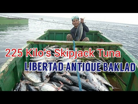 Net Fishing 2021| Antique Baklad | Amazing Catch Fish | Traditional ...