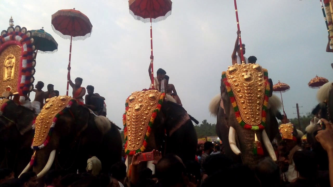 Pooram.p.p.kadampazhipuram.1.feb.2019(1) - YouTube