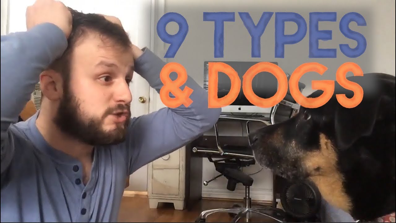 9 Enneagram Types Talk to Dogs (In Private) - YouTube