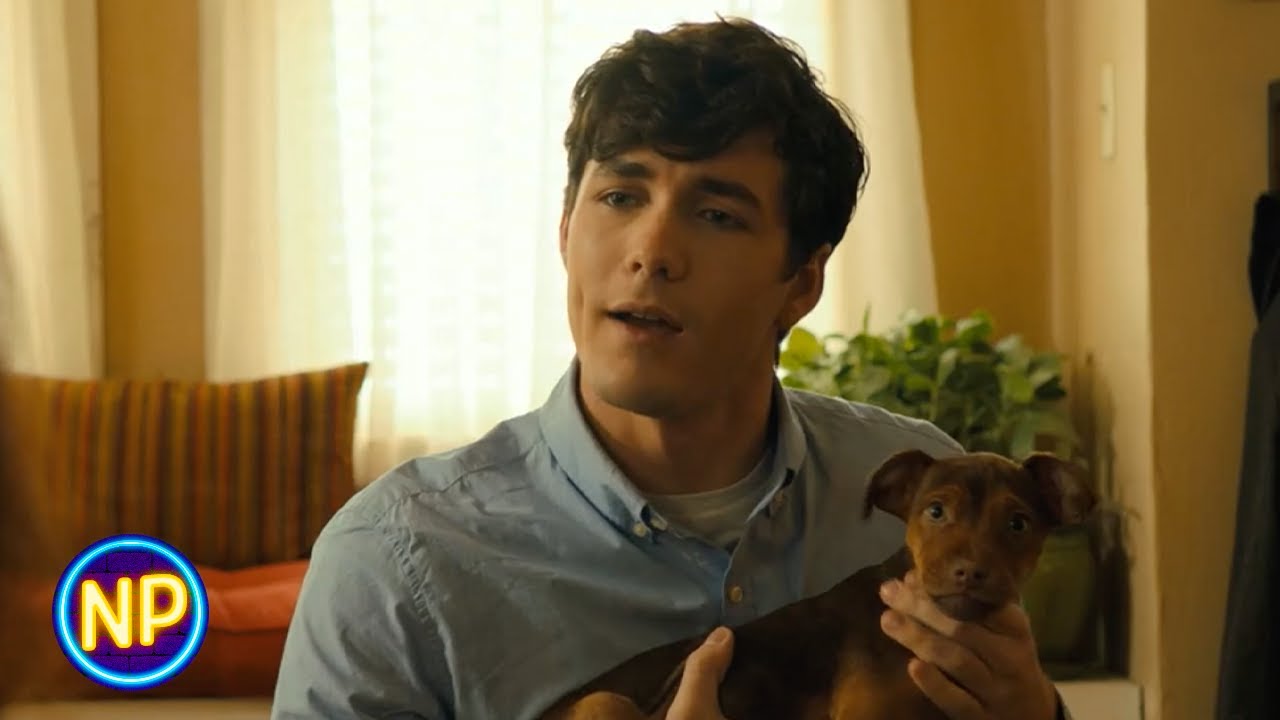 "Lucas was my person and I was his dog..." | A Dog's Way Home (2019 ...