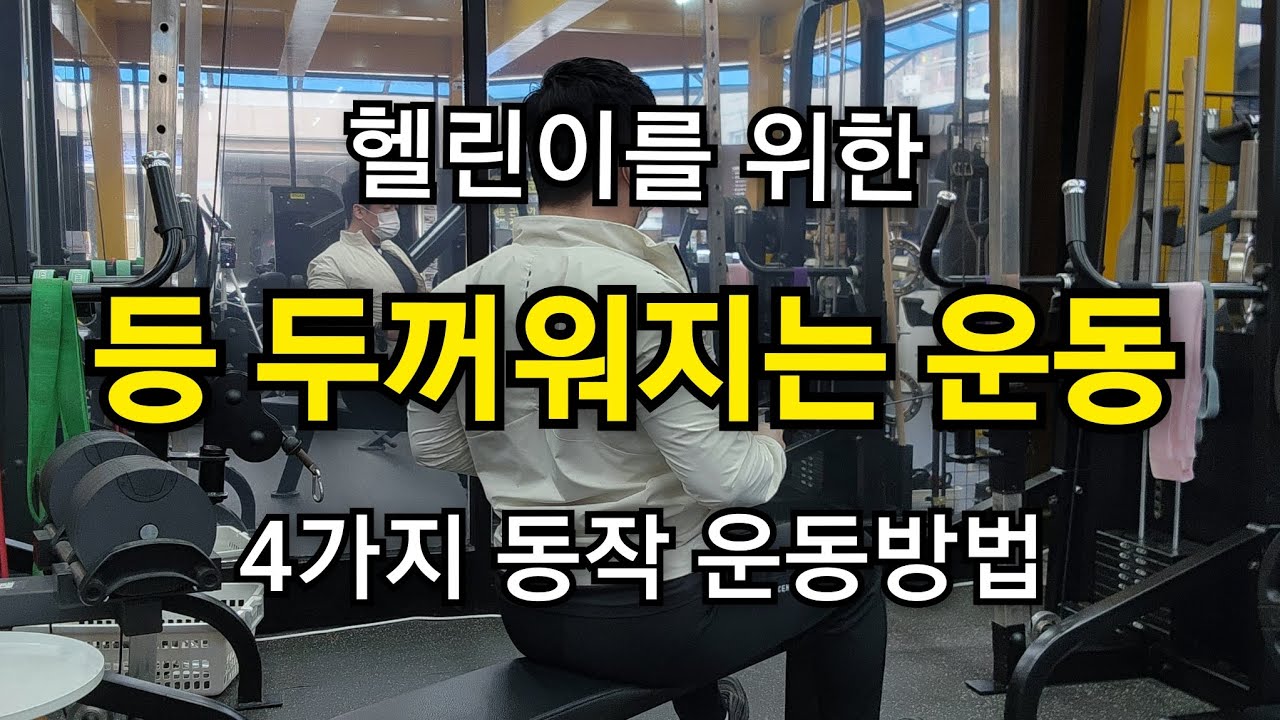 등 두꺼워지는 운동 헬린이를 위한 4가지 동작 운동방법 Youtube