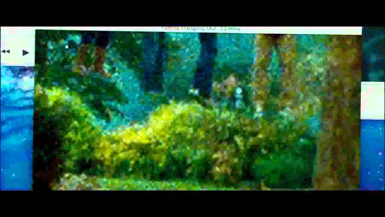 SINISTER Trailer 2012 Movie Official HD - YouTube