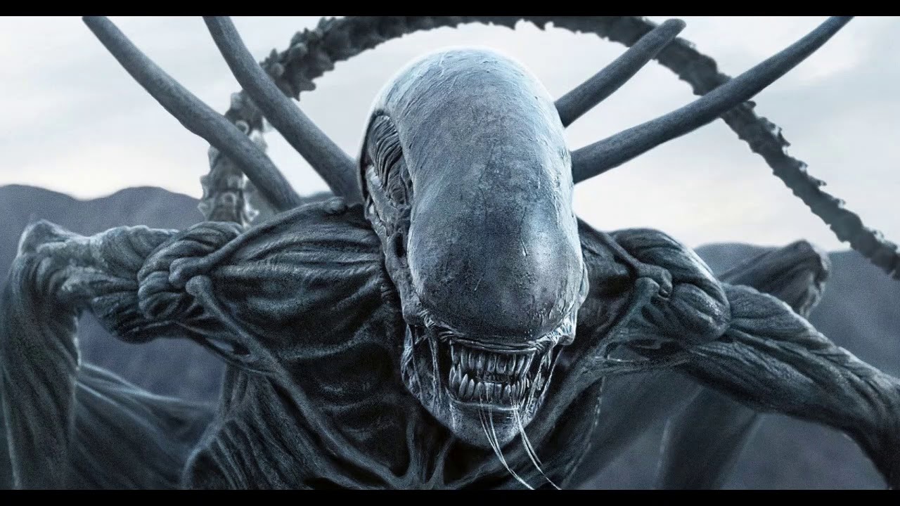 xenomorph: attack's teaser - YouTube
