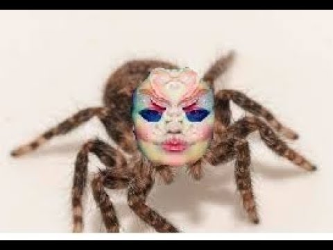 Bjork gets bit by a spider RIP Adventure Time - YouTube