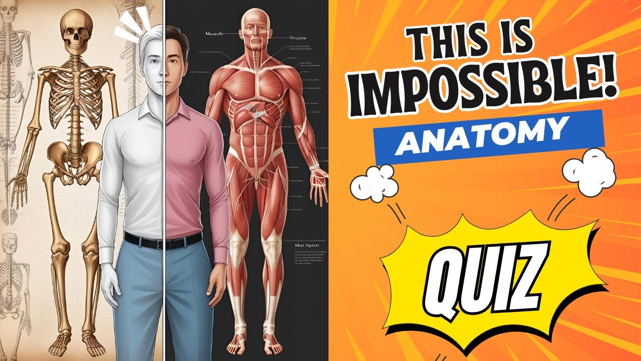 Ultimate Human Anatomy Quiz: Test Your Knowledge! (Quiz 3 of 4) - YouTube