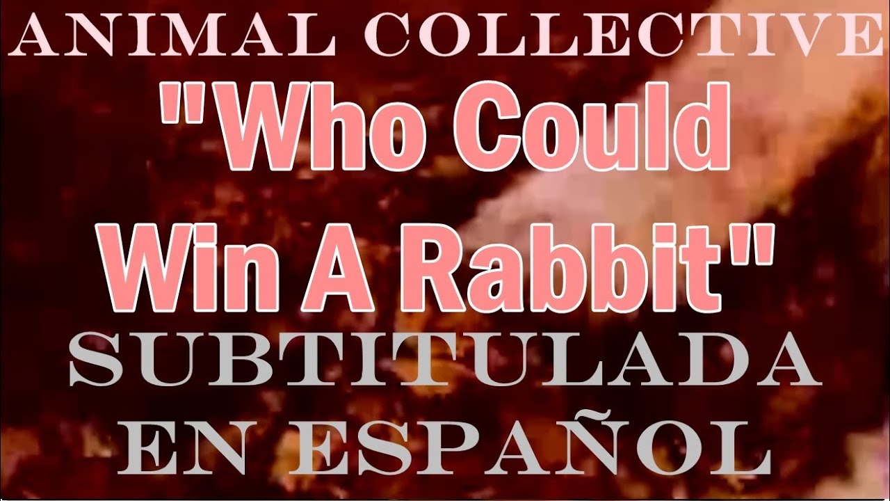 Animal Collective "Who Could Win A Rabbit" Lyrics en español - YouTube