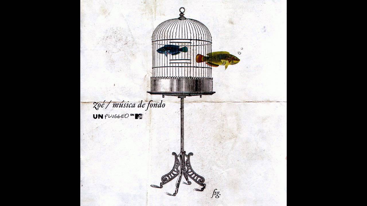 Zoé - Infinito (MTV Unplugged) Letra - YouTube