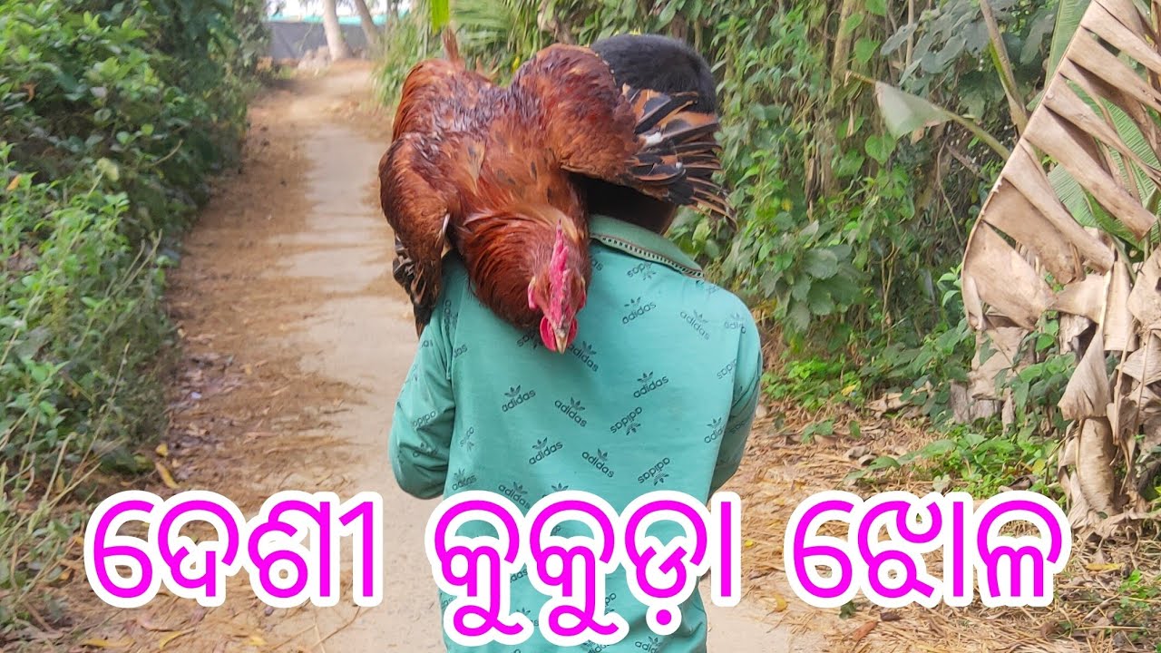 ଦେଶୀ କୁକୁଡ଼ା ଝୋଳ Desi kukuda jhola #video #viral - YouTube