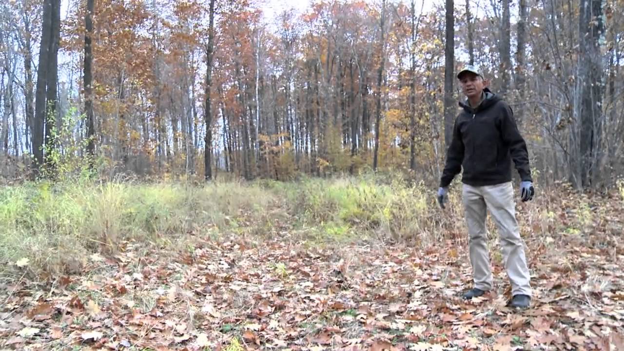 Wisconsin Wolf Hunt