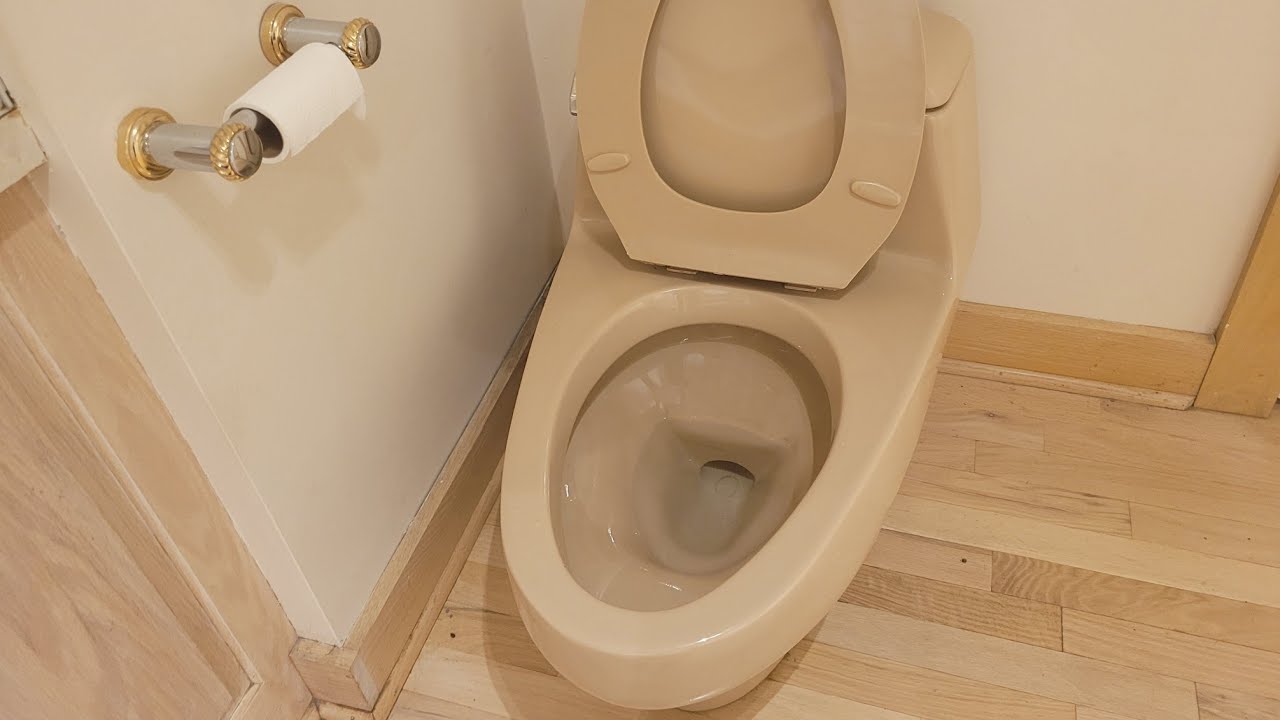 TR #5: The 1990's-2000's 1.6 Eljer Canterbury One Piece Toilet was a ...