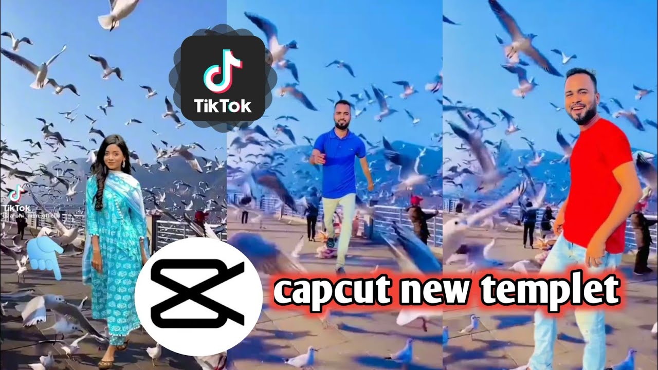 Tik Tok training pakhi video editing | Capcut new effects video editing|Capcut template video ...