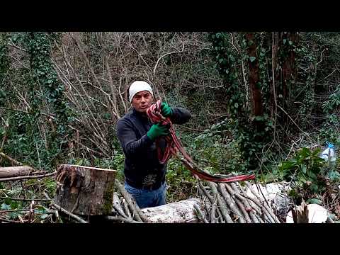 Teleferikle odun taşıma
