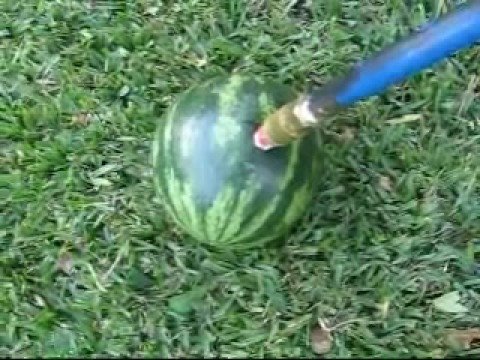 Exploding Watermelon - YouTube