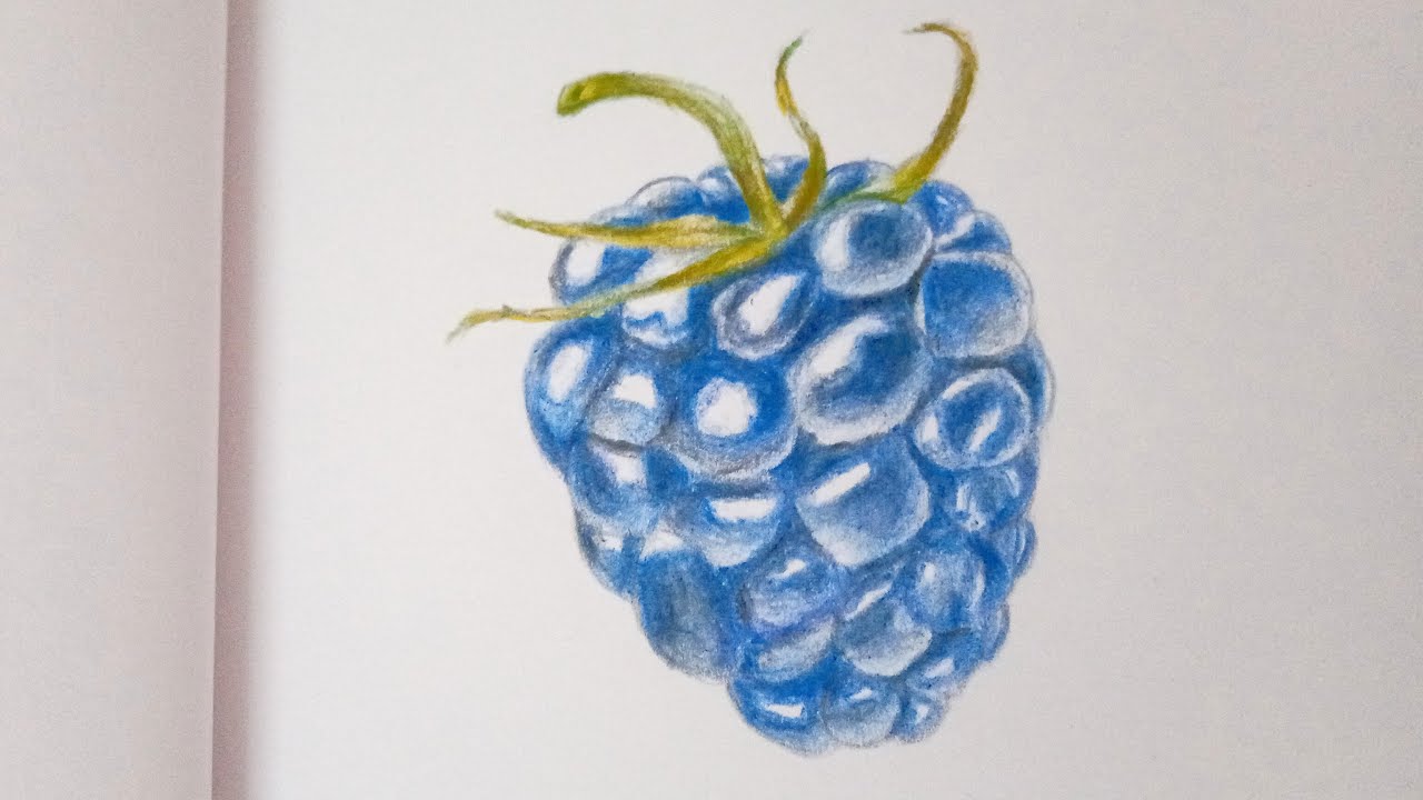 Berry drawing with coloured pencils - YouTube