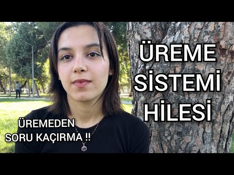 AYT ÜREME SİSTEMİ HİLESİ! - Üremeden Soru Kaçırma!