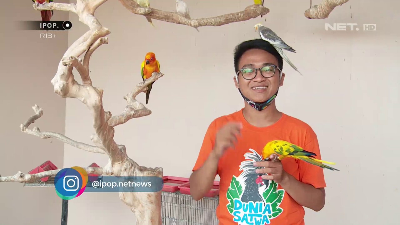 Bermain Bersama Komunitas Awan Free Fly - YouTube