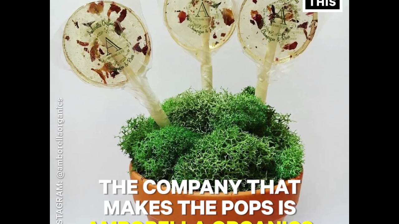 These lollipops grow into plants after you’re done eating them - YouTube