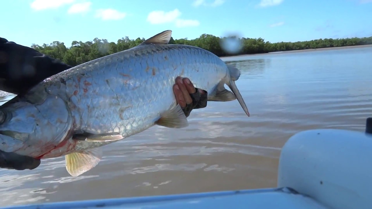 Everglades Fishing Highlights - YouTube