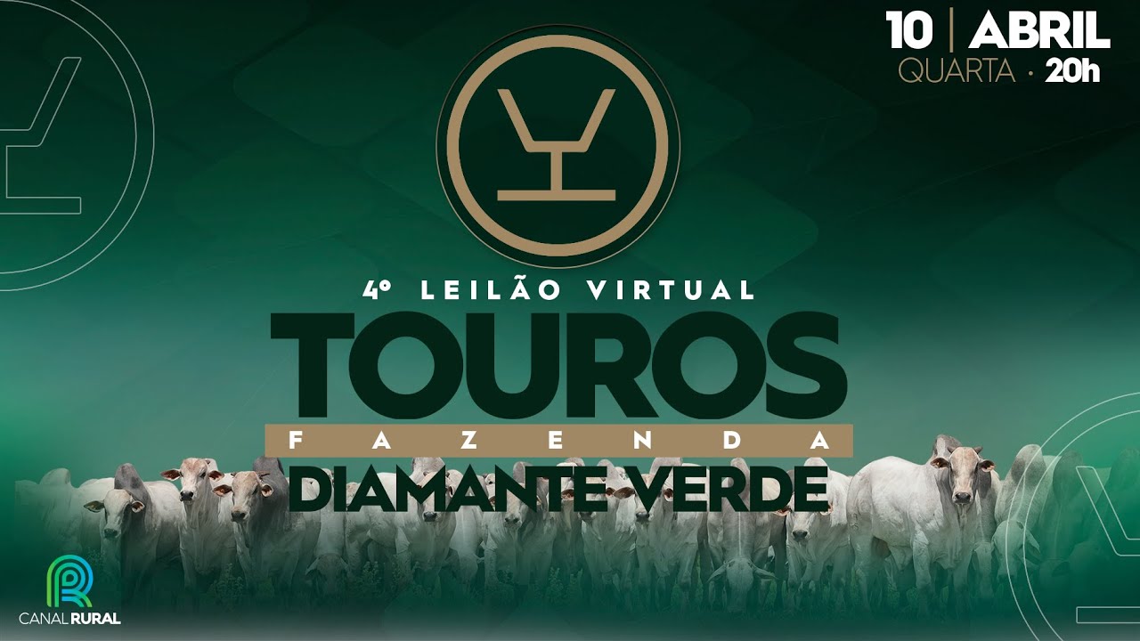 LOTE 02 - YouTube