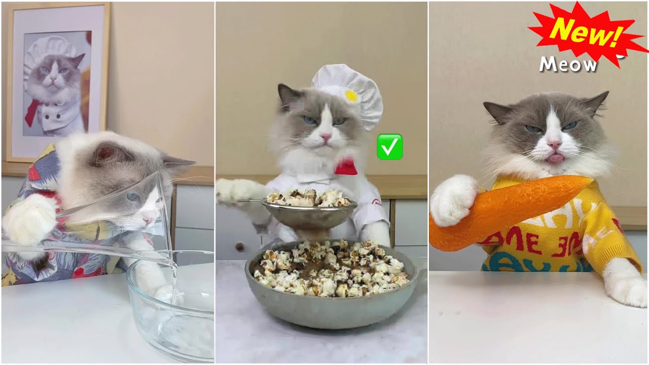 36 Min That Little Puff Tiktok Compilation - YouTube