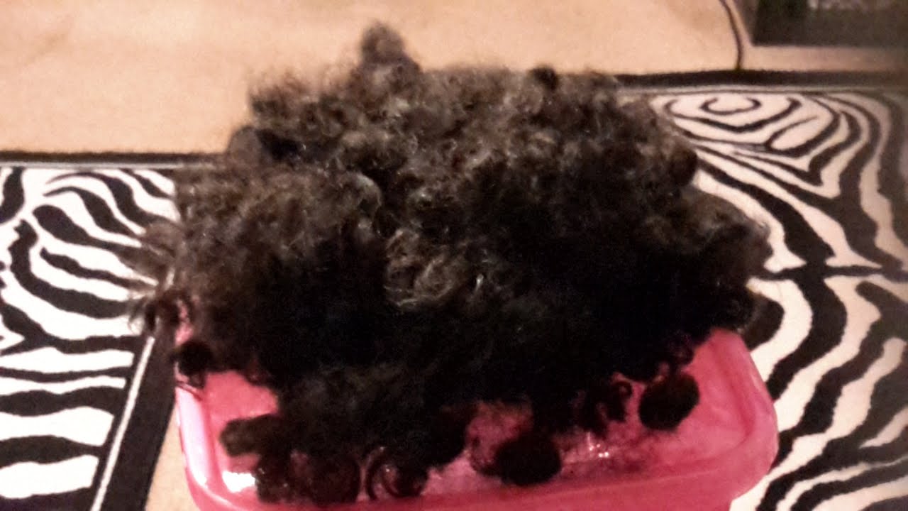 Tonidaley.com Big Chop | I Big Chopped the Toni Daley Big Chop Wig ...